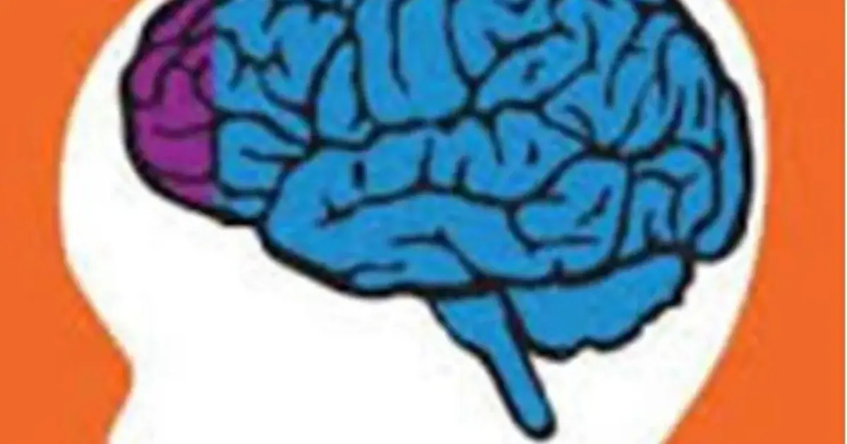 Role of Sphingomyelin in Cognition | Wyeth Nutrition Science Center Africa